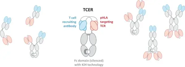 BMS斥资9.2亿美元收购Immatics候选TCR疗法 - 知乎