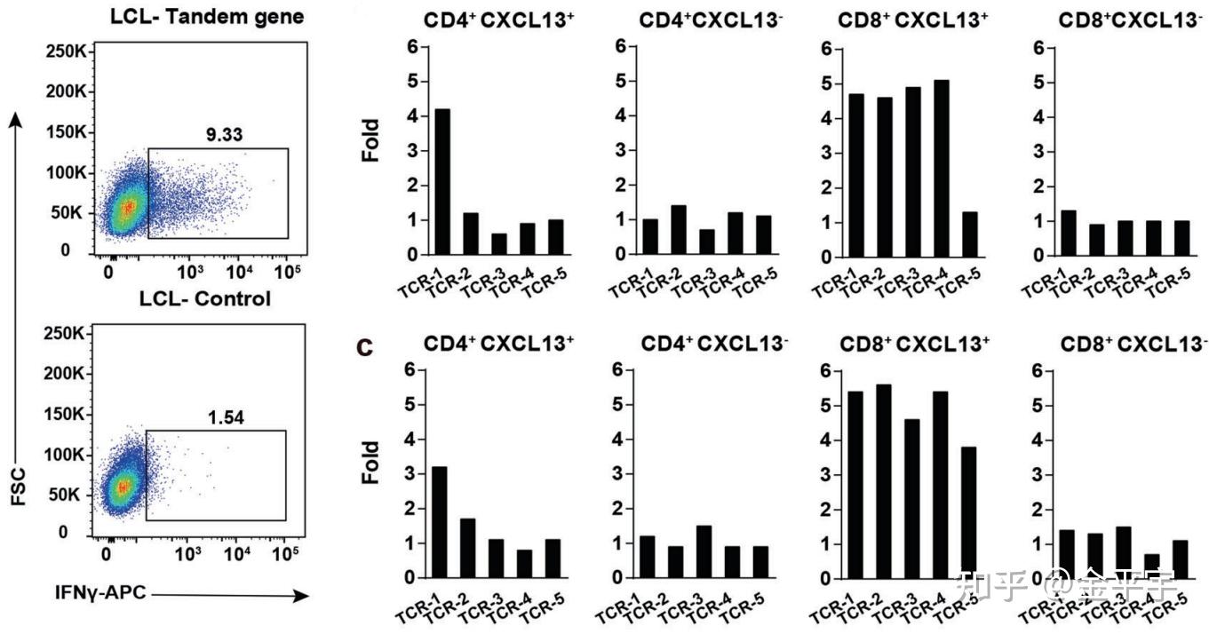 个性化TCR-T细胞疗法优化的底层技术逻辑 - 知乎
