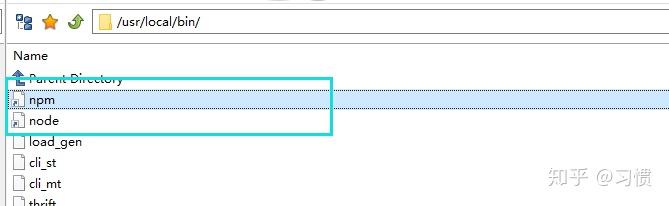 linux服务器安装node环境及项目部署 - 知乎