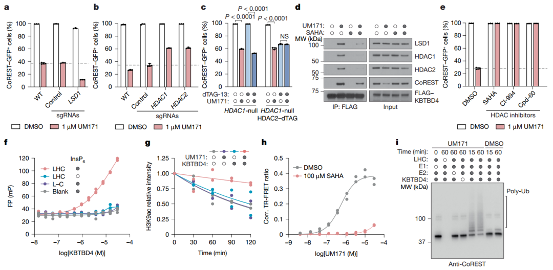 Nature背靠背 | 冷冻电镜揭示UM171 的分子胶作用机制及与癌症遗传突变的惊人相似性 - 知乎