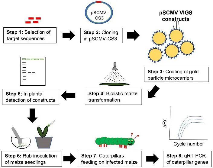 Bio-protocol | 2023年7月20日最新上线实验方案目录 - 知乎