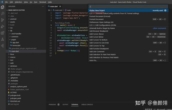 用Flutter开发一个图片压缩工具（Windows） - 知乎