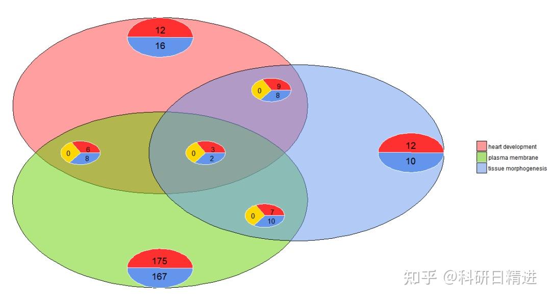 如何使用GOplot画一张精美的GO分析图 - 知乎