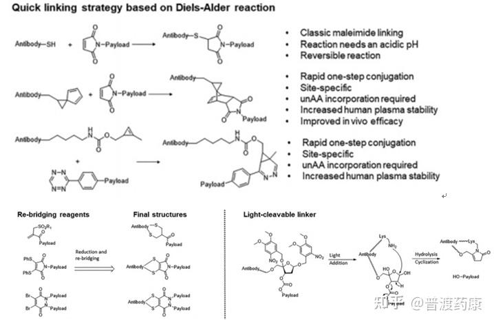 XDC药物最新研究进展 - 知乎