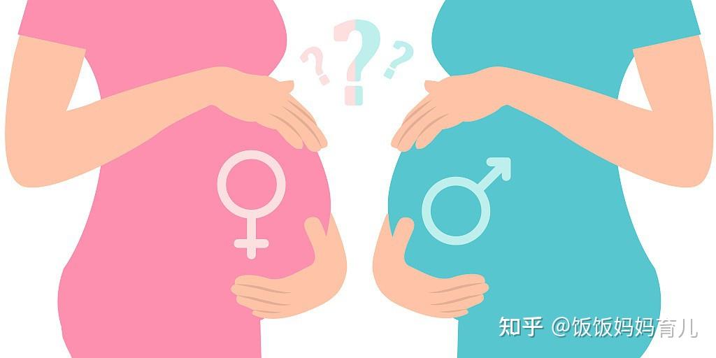 通过孕期反应猜胎儿性别靠谱？“真相”在这里，孕妈别被误导了 - 知乎