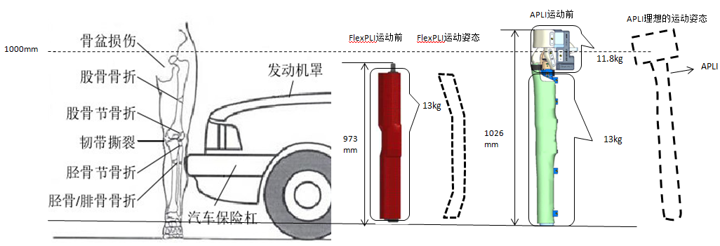 行人保护最新腿型APLI - 知乎