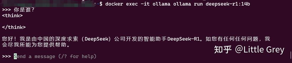 WSL2+Docker部署Ollama+Deepseek-R1+Open-WebUI+Enchanted(ios) - 知乎
