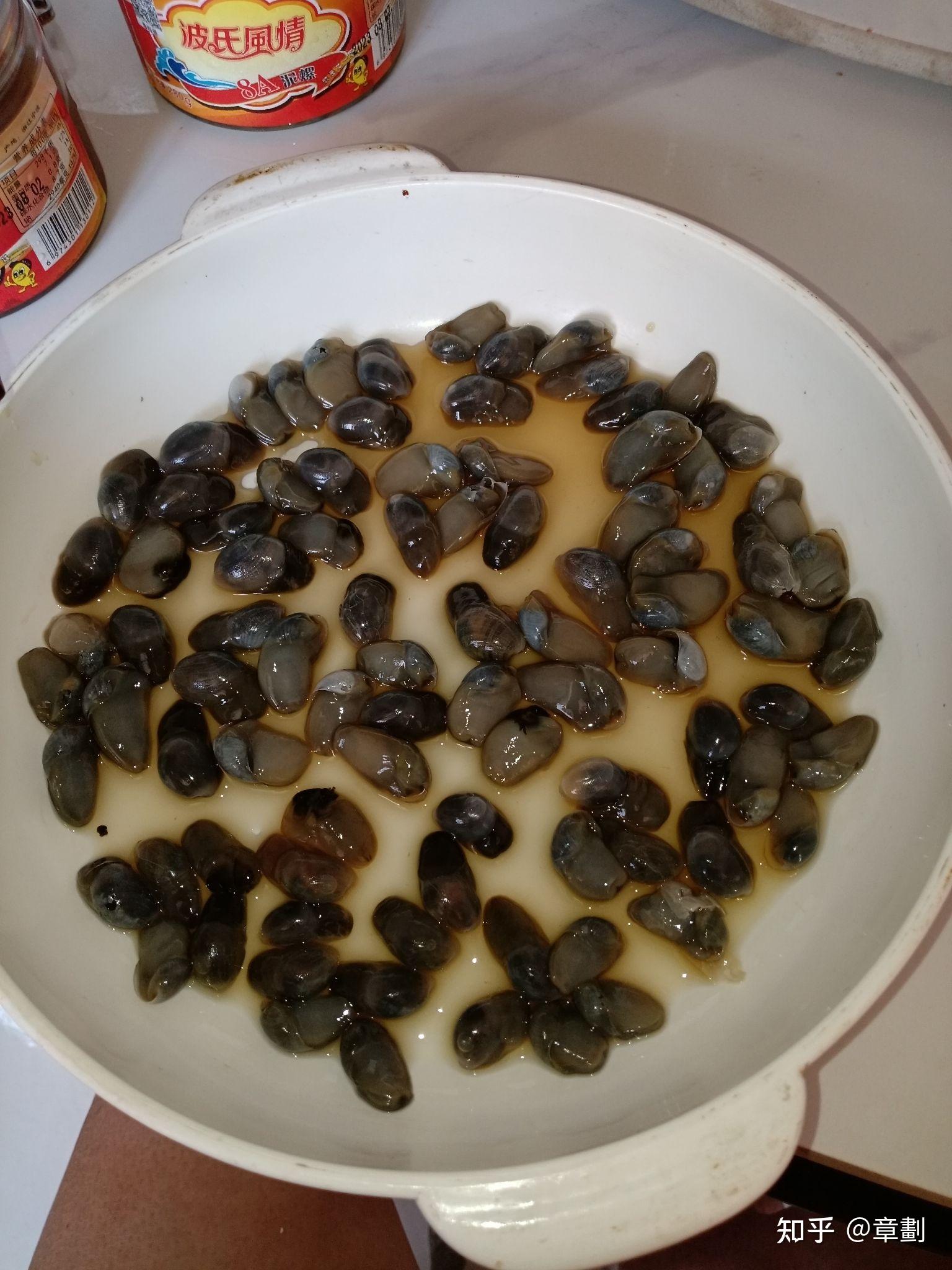 尝鲜黄泥螺的思考 - 知乎