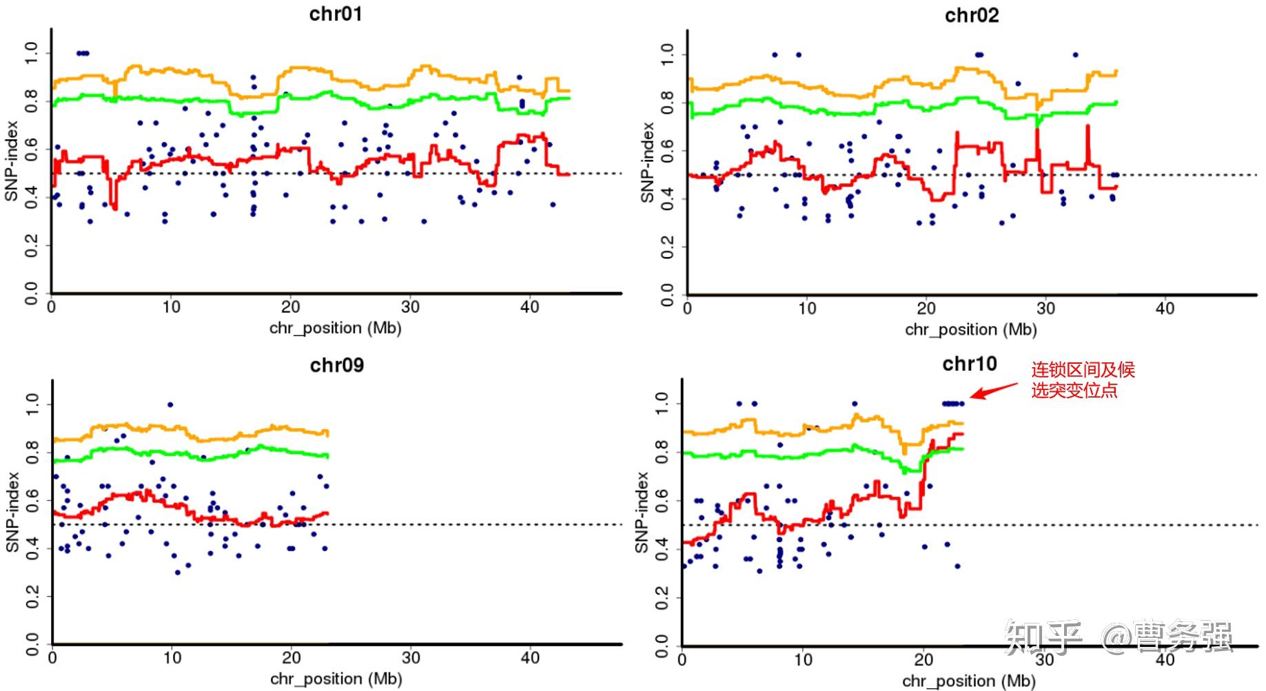使用MutMap快速定位突变基因：实战篇 - 知乎