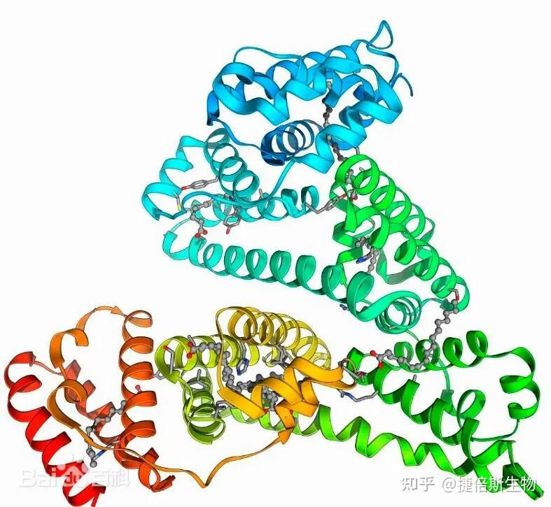 BSA种类简介及选择方式 - 知乎
