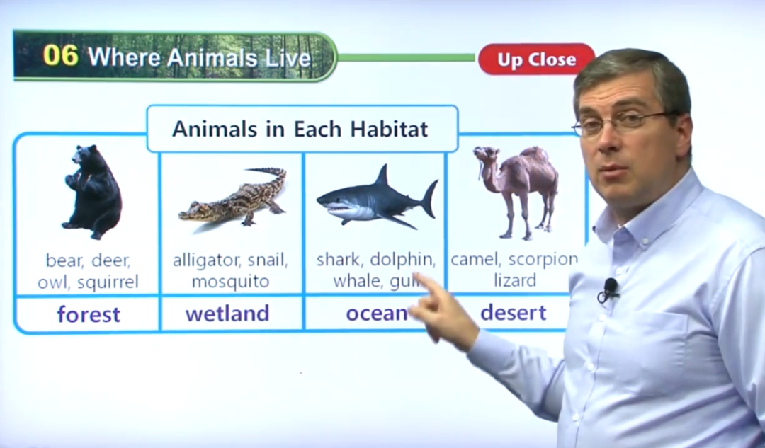 美国小学课本American Textbook Reading，含外教美语视频+配套教材PDF！ - 知乎