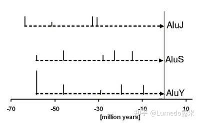 Alu突变的进化——一种巧妙的防御 - 知乎