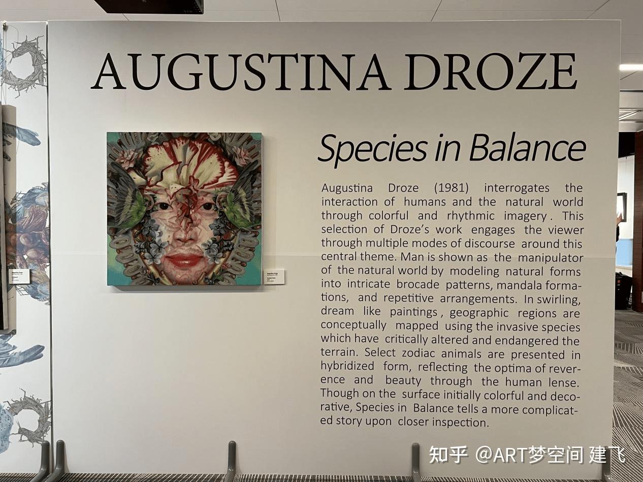 平行物种“Species in Balance” Augustina Droze 奥古丝汀娜艺术展 - 知乎
