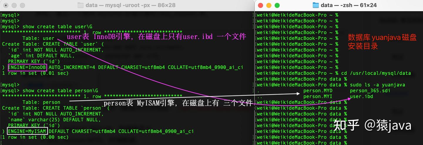 深度剖析：MySQL count() 函数，这下彻底明白了！ - 知乎