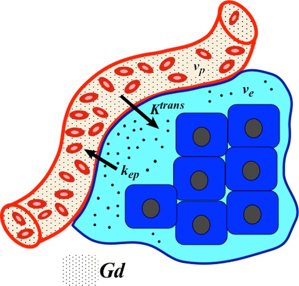 可以从 DCE图像中提取哪些量化参数？ - 知乎