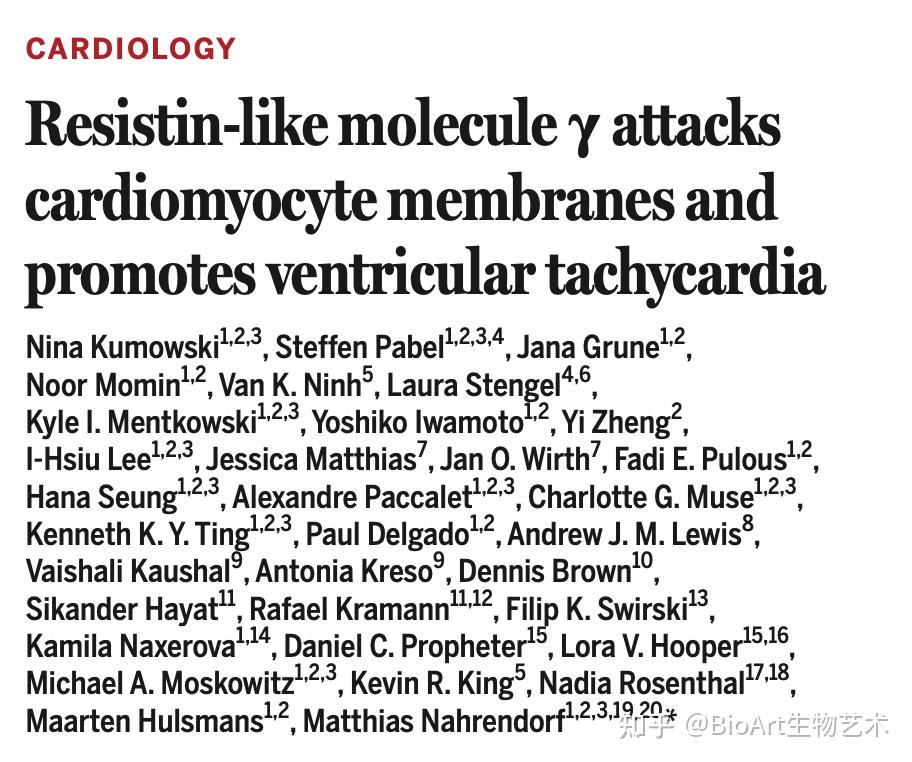 Science丨RELMγ通过攻击心肌细胞膜结构促进室性心动过速的发生 - 知乎