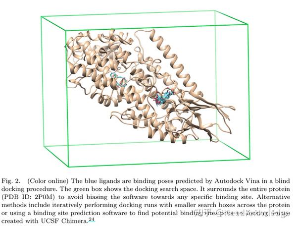 Using molecular docking and molecular dynamics to investigate protein ...