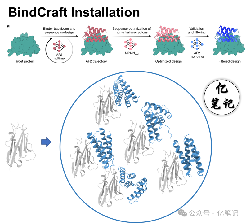 蛋白设计软件之BindCraft|安装BindCraft - 知乎