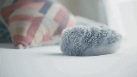 Moflin - 具有情感能力的 AI 宠物