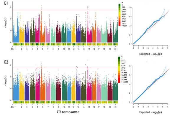 文献丨GWAS分析菜用大豆可溶性糖含量调控基因 - 知乎