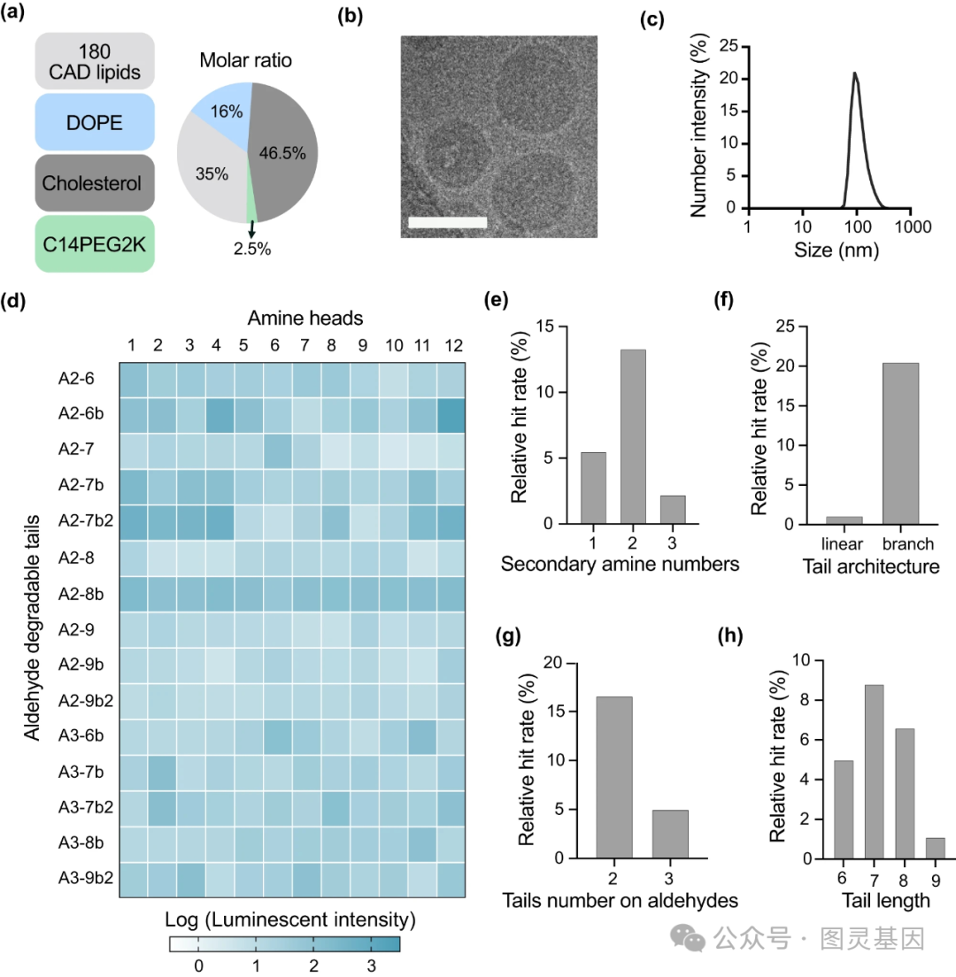 Nat Comm | 宾夕法尼亚大学使用DNA条码编码脂质体跟踪mRNA药效 - 知乎