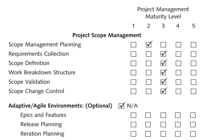 PMS-PMMM项目管理成熟度评估方法和工具 - 知乎