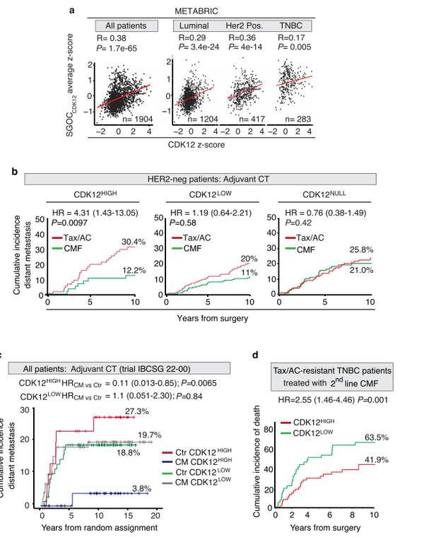 Nat Commun | 转录组+代谢组解析经典靶点CDK12致癌机制 - 知乎