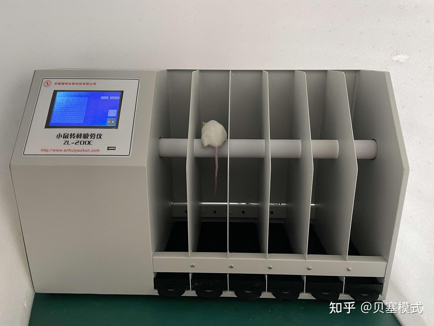 动物行为学转棒实验（Rotarod test，RT） - 知乎