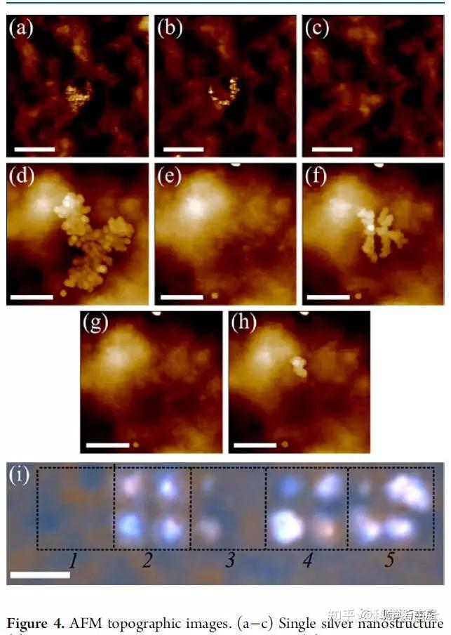 还不知道AFM的应用？三个案例告诉你！-科学指南针 - 知乎