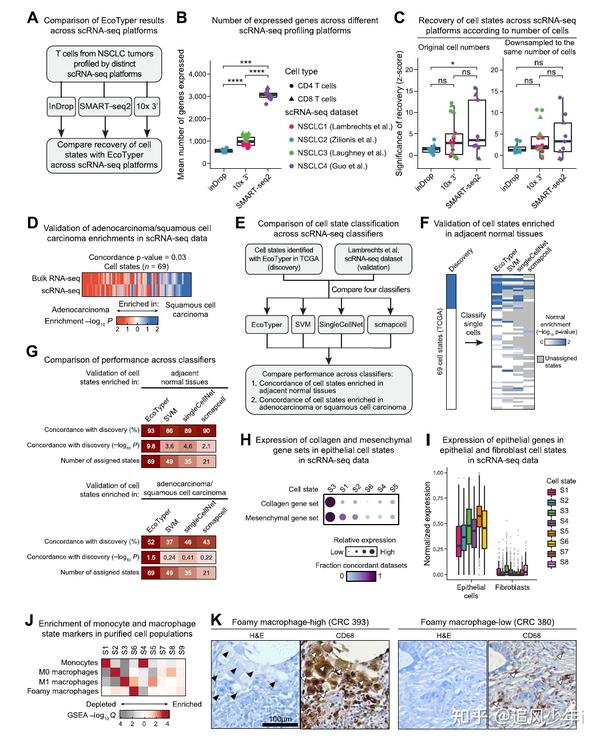 10X单细胞空间数据分析之表征细胞状态和生态型（EcoTyper） - 知乎