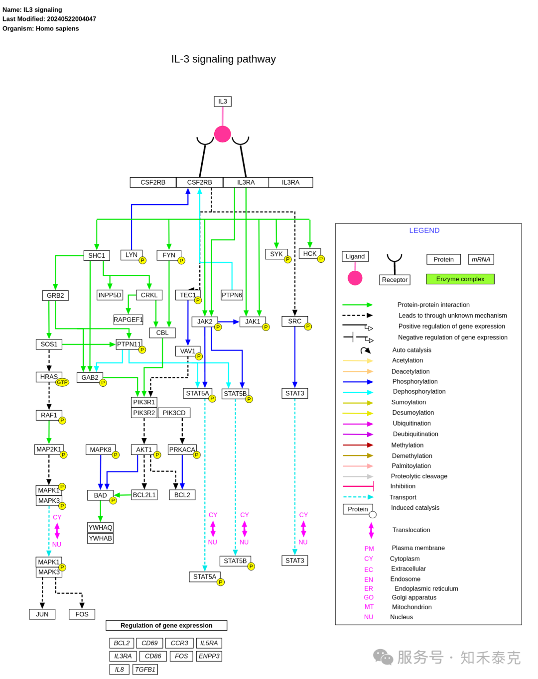 重组人IL3：解锁细胞培养的“全能因子” - 知乎