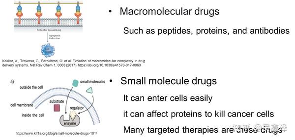 论文理解DualGCN: a dual graph convolutional network model to predict cancer ...