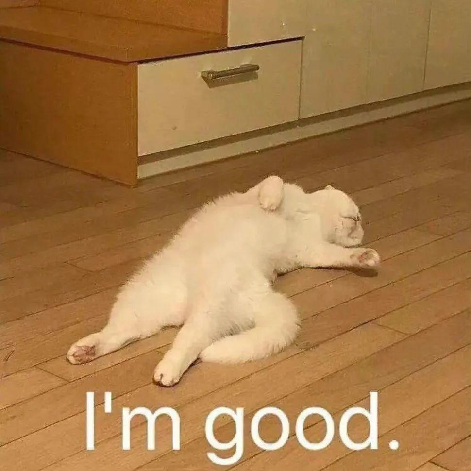 摆烂、躺平、互联网嘴替这些2022网络热词英文怎么翻译？ - 知乎