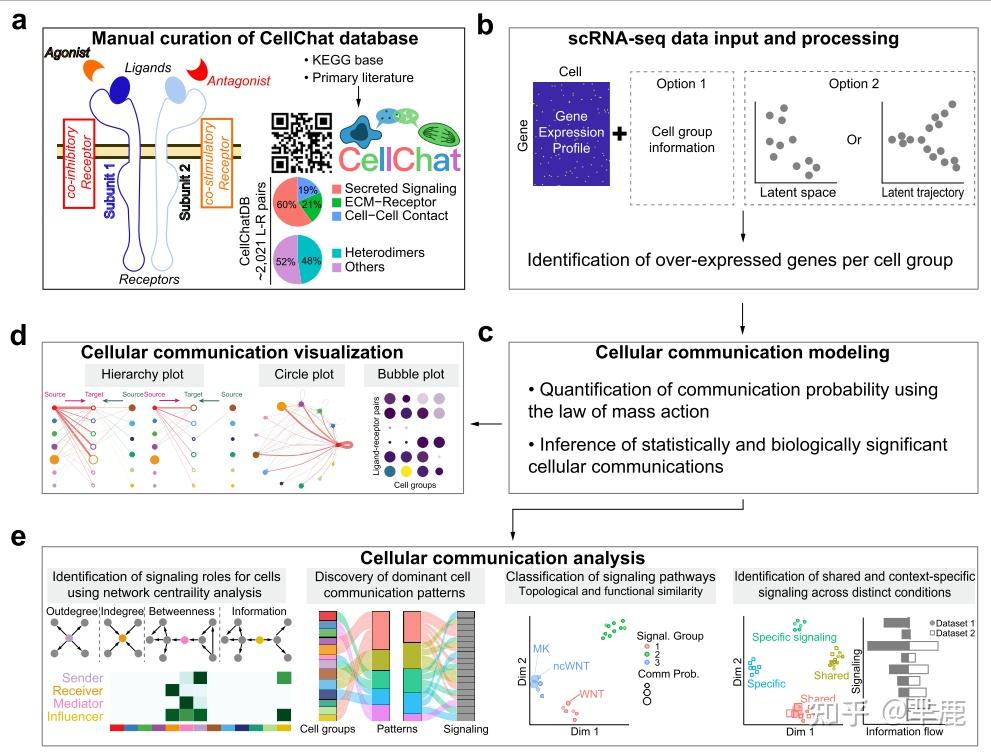 CellChat细胞通讯分析（上）--文献解读 - 知乎