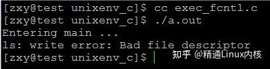 linux系统编程之进程：exec系列函数使用 - 知乎