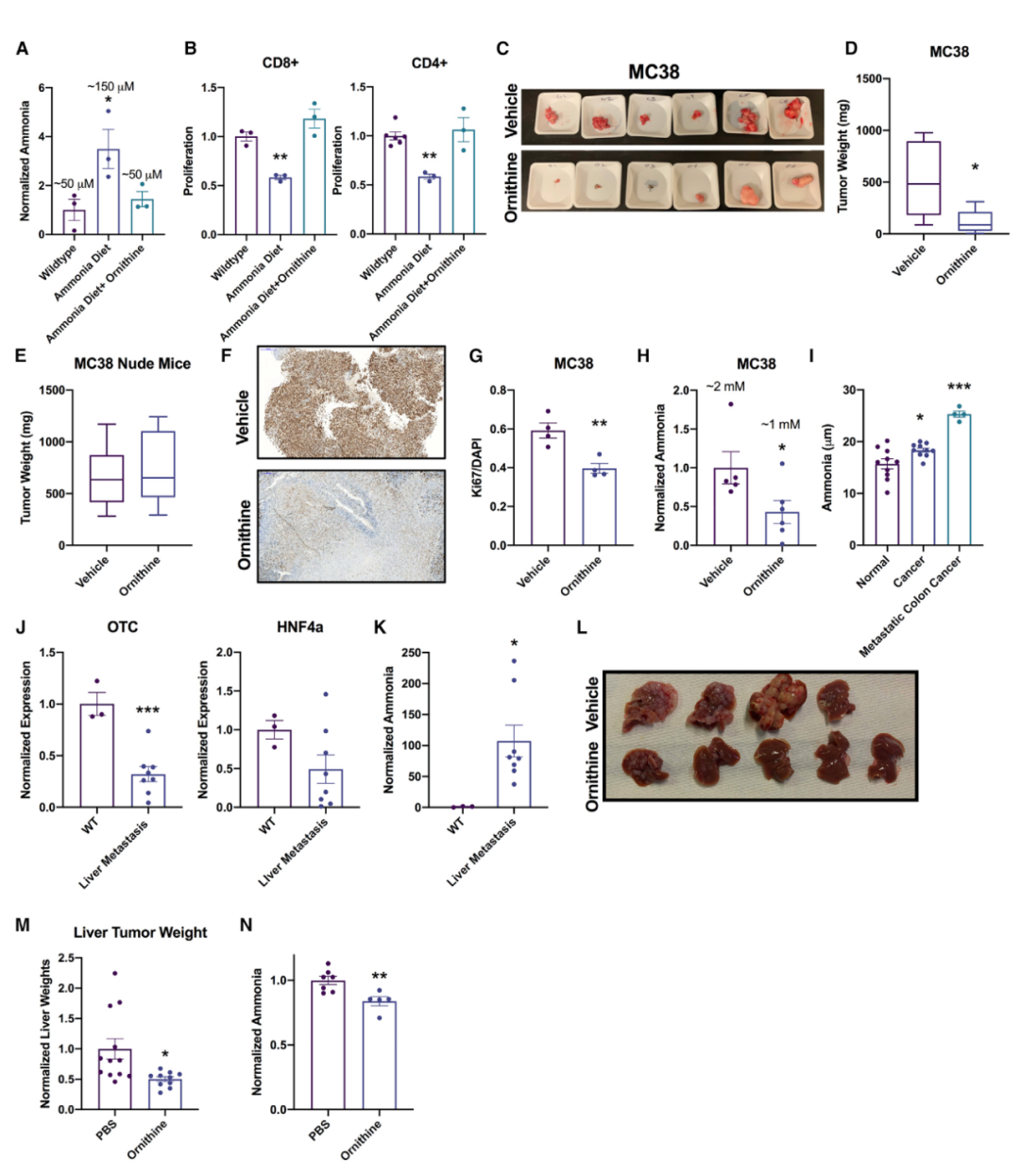 Cell Met | 微环境的氨可诱导结直肠癌的T细胞衰竭 - 知乎