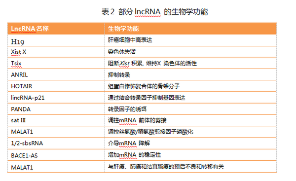 lncRNA过表达及干扰载体设计与实验 - 知乎