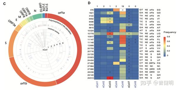微生物DNA测序数据找变异位点 - 知乎