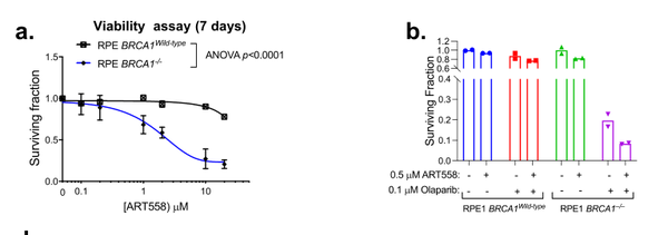 Polθ抑制剂在合成致死中的应用 - 知乎