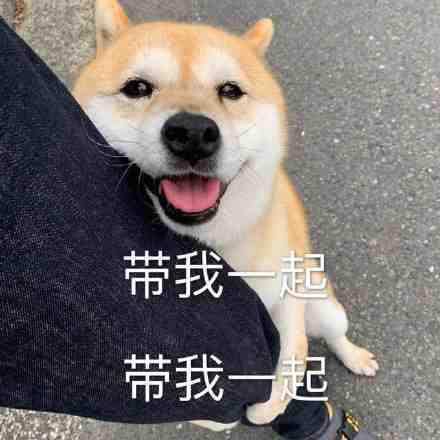 【西皮滴滴（cpdd）篇】cpdd，你是唯一，绿我可以，演我不行，生不见面，死不奔现，只接语音，不接视频 - 知乎