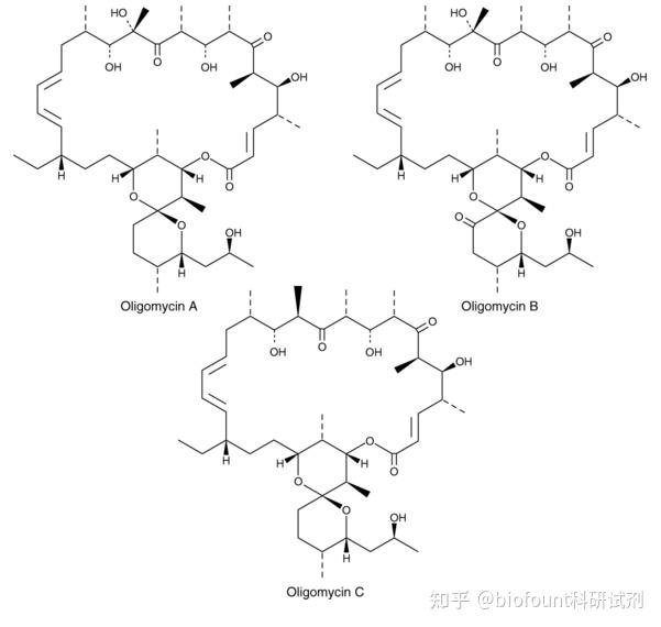 Oligomycin（寡霉素）；ATP合酶抑制剂 - 知乎