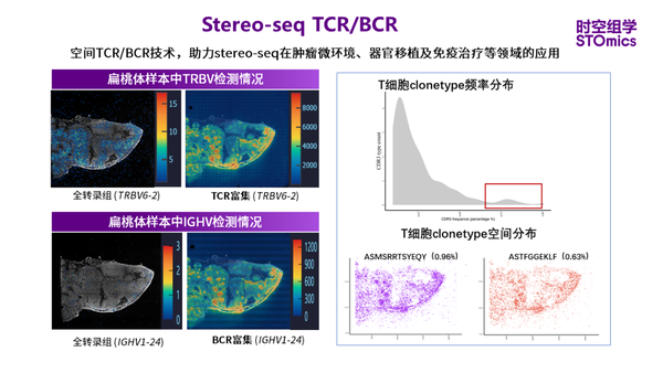 重磅 | 人人可及，时空组学技术Stereo-seq再次升级 - 知乎