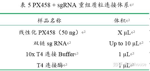 sgRNA实现细胞KO从引物设计到阳性细胞筛选-保证实用 - 知乎