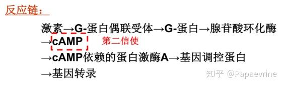 细胞生物学复习——细胞信号转导（1） - 知乎