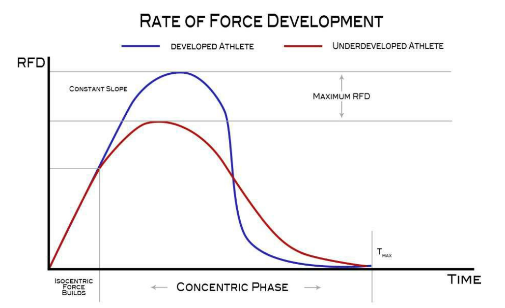什么是发力率What is RFD？理论篇 - 知乎