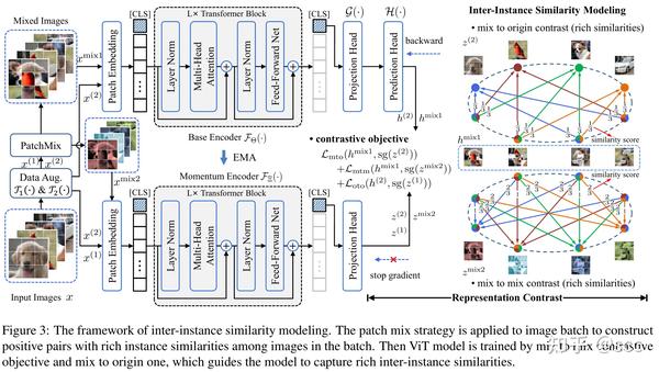 【前沿研究】跨图像相似度建模对比学习方法 (Inter-Instance Similarity Modeling for Contrastive Learning) - 知乎