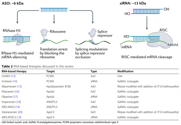 伯科多功能Oligo合成平台成功交付，为中国生物智造助力 - 知乎