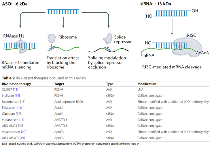 伯科多功能Oligo合成平台成功交付，为中国生物智造助力 - 知乎