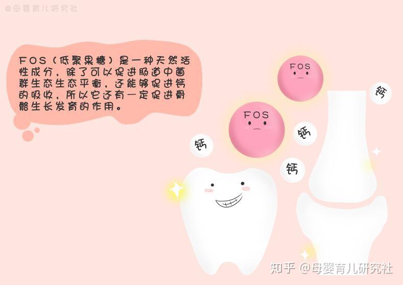 FOS和GOS，也称为益生元组合，它们在宝宝肠道中的奥秘 - 知乎