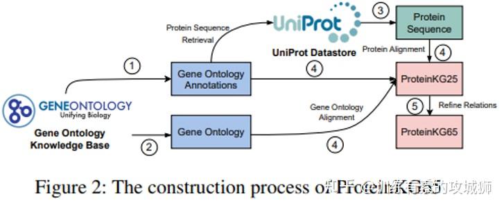 随笔短文: Multi-modal Protein Knowledge Graph Construction and Applications ...